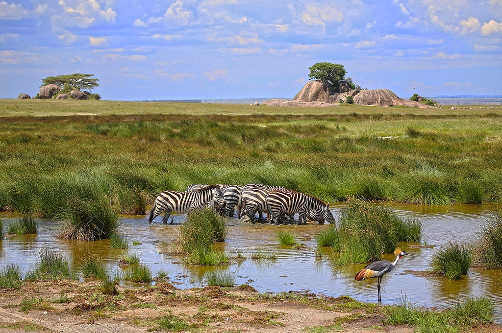 Reistrends volgens Travel Store: van multi-generatiereizen tot ...