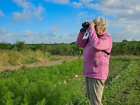 Bioblitz in voedselbos Geldermalsen brengt natuur in kaart | Regio | De ...