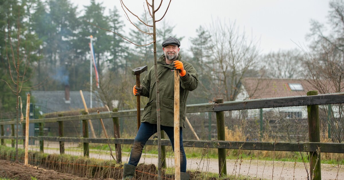 Meer struiken en inheemse beplanting rond het Land van Peelen; gemeente ...