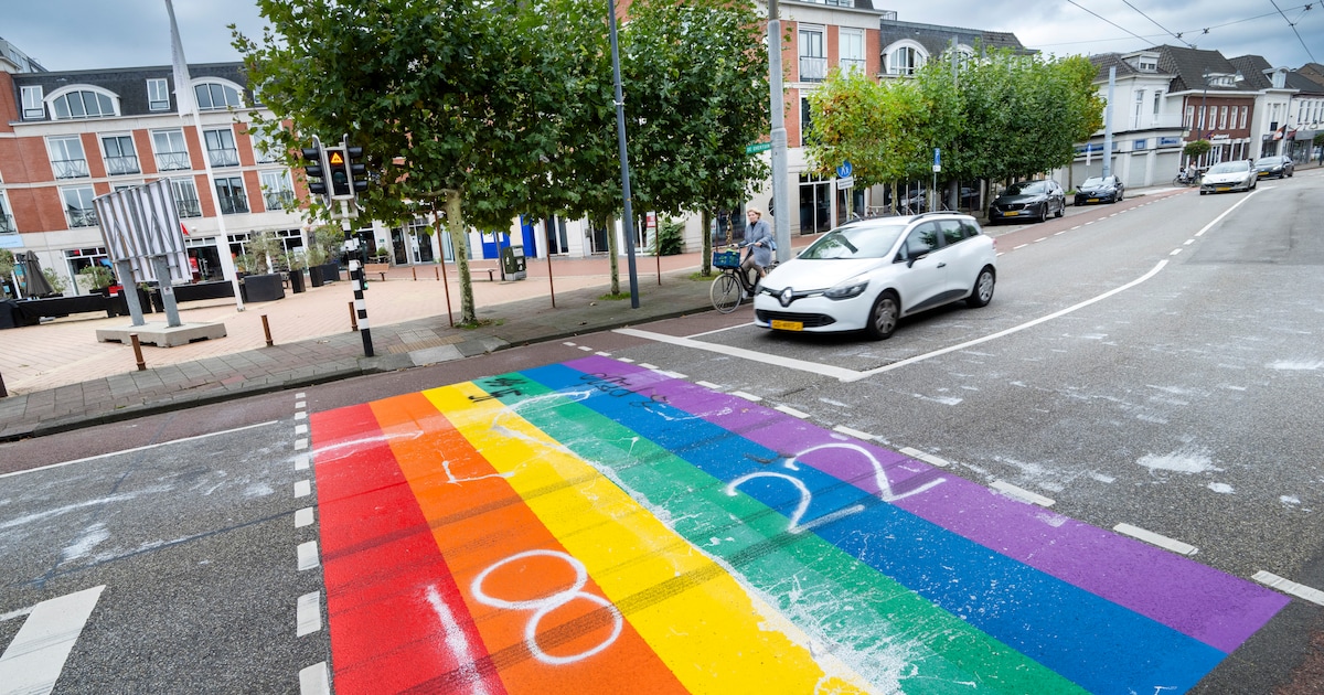 Deze gemeente wil de regenboogvlag vaker laten wapperen maar zit ...