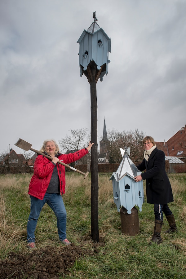 Ria (69) en Trudie (68) grepen corona aan om een duiventil te maken ...
