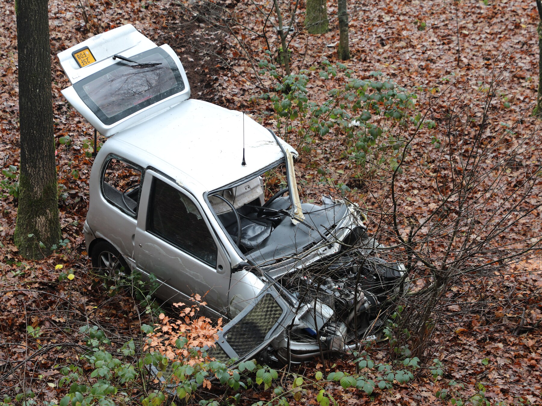 Van ‘boefje van Bartiméus’ naar Paralympische Spelen: dit is het ...