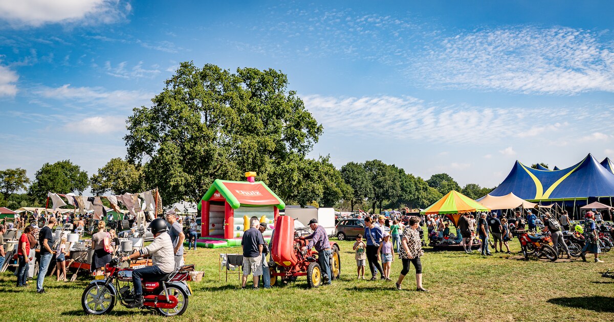 Boerendag in Alphen is nog precies zoals die ooit bedoeld was | Brabant ...