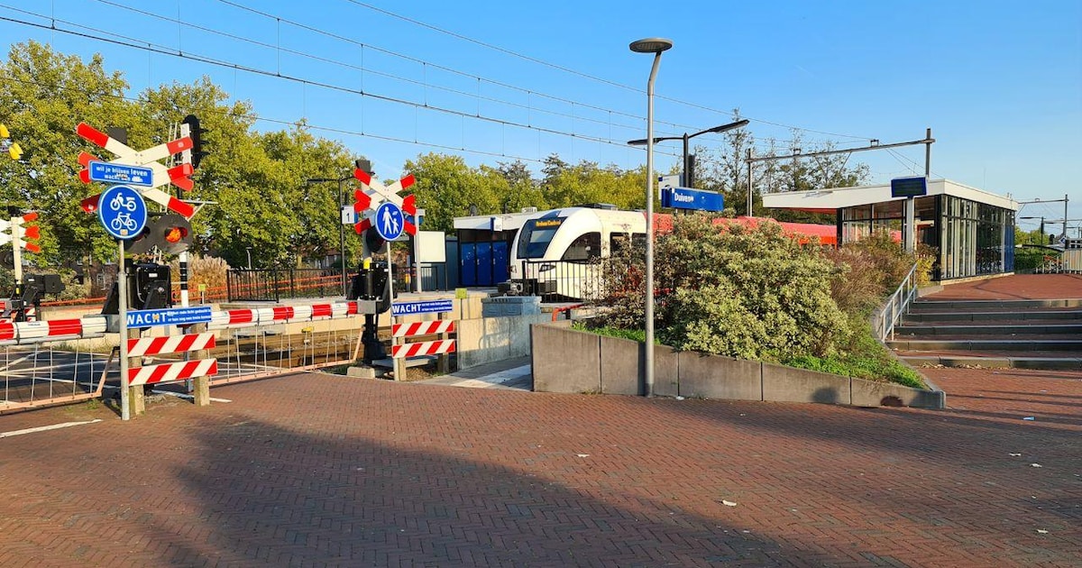 Leerlingen Duivens Candea College getuige van aanrijding met trein ...