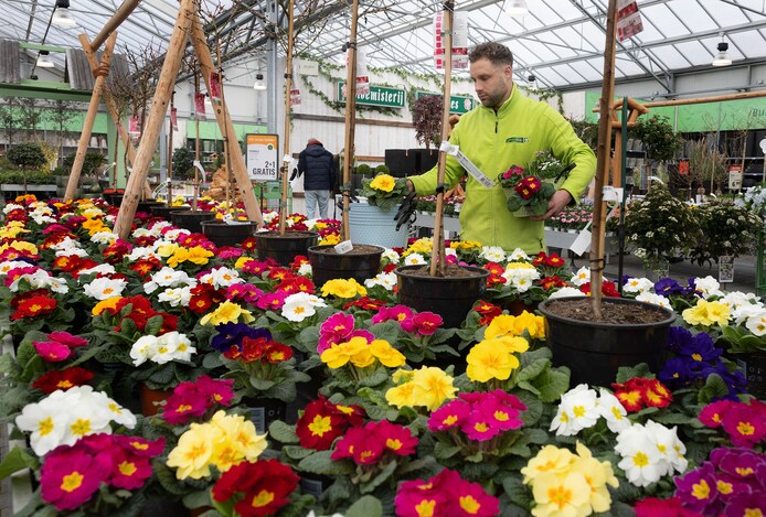 Tuinliefhebbers opgelet: Intratuin Duiven verrast met grote Disney ...