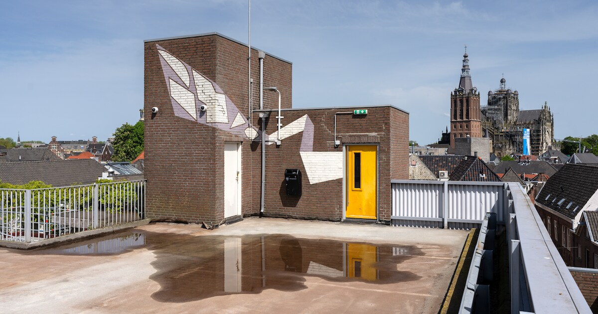 Poepende en plassende bezoekers maken een einde aan daktuin op ...