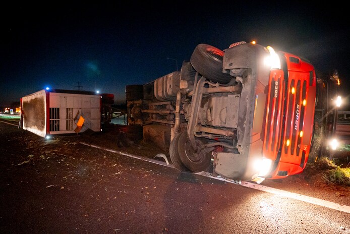Vermoedelijk meerdere koeien dood bij ongeval met vrachtwagen op A18; snelweg weer open | 112 ...