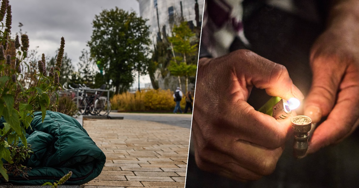 Compleet van de wereld tippelt vrouw voor drugs en geld: 24 uur tussen ...