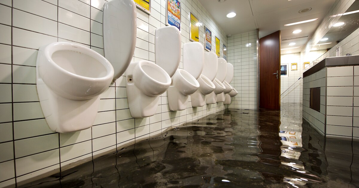 Ik heb respect voor schoonmakers die de toiletten op gezette tijden ...