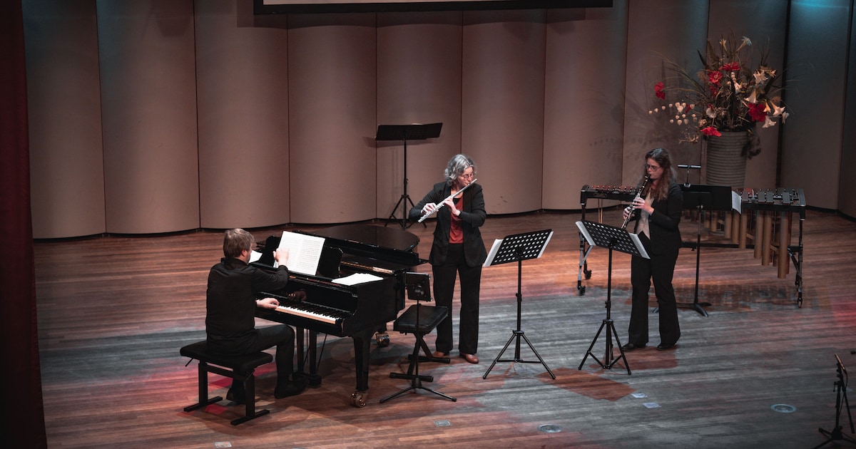 Docenten Boogie Woogie geven klassiek concert in Winterswijk | Regio ...