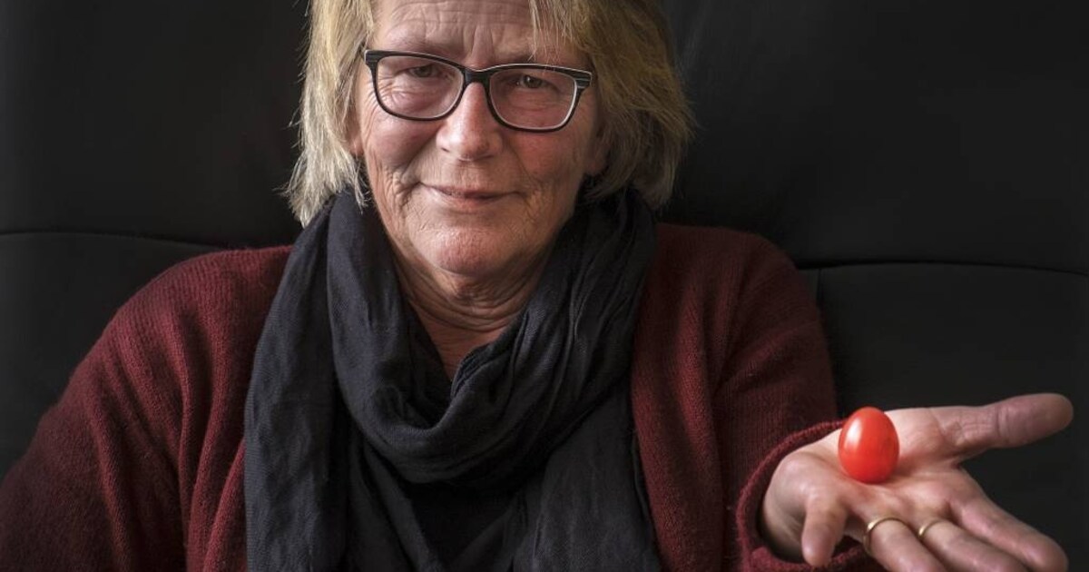 SP wil weer meedoen in Berg en Dal | Nijmegen | De Gelderlander.nl