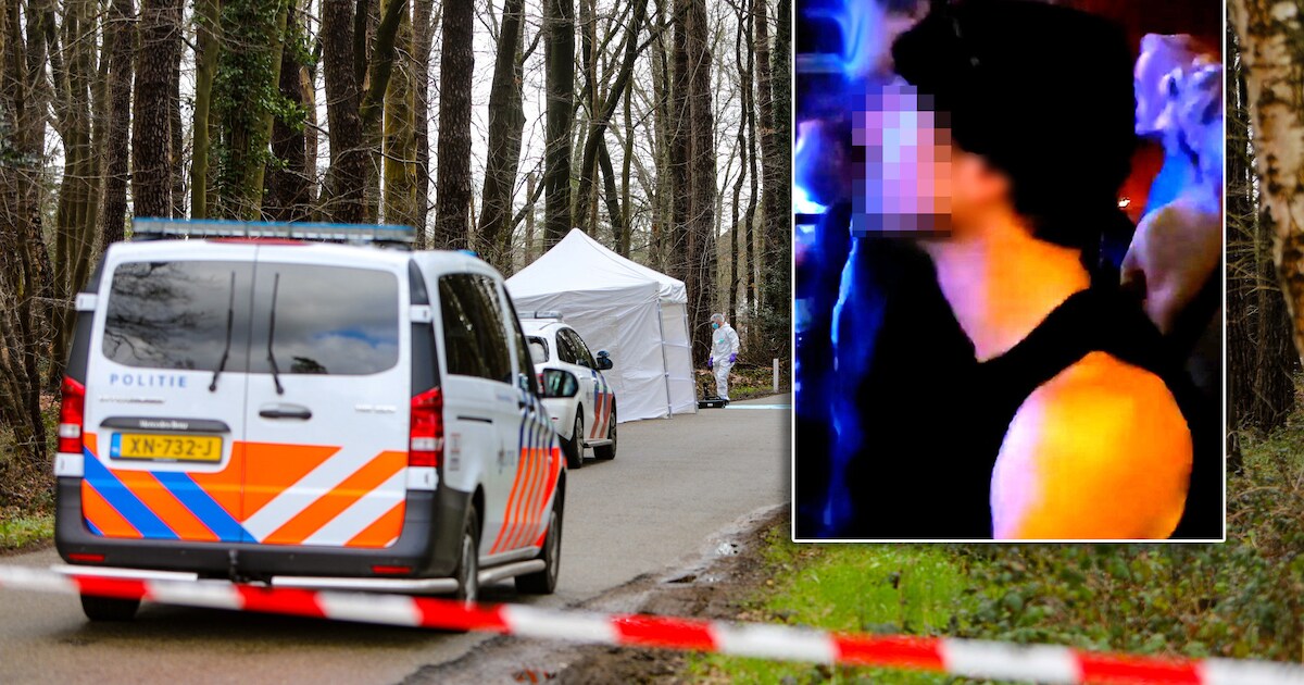 Moordverdachte Jeremy van E. nog maanden vast voor dood Sylvia uit Apeldoorn | Apeldoorn ...