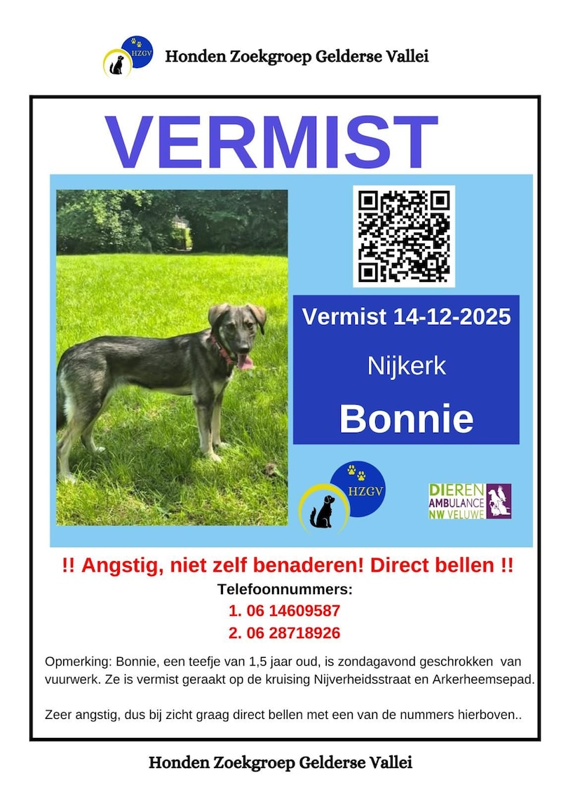 Hond Bonnie al dagen vermist na harde knal van vuurwerk: ‘Dit is mijn ...