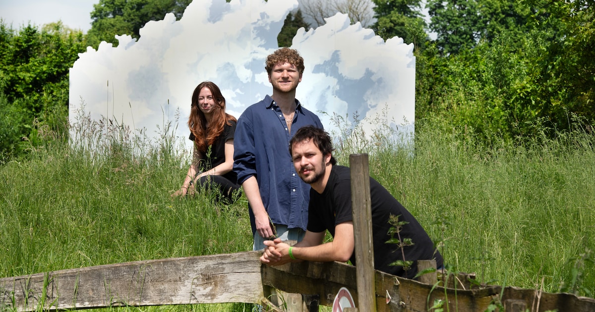 Kunstfestival aan de Linge: 'Stoffig imago verdwijnt met nieuwe ...