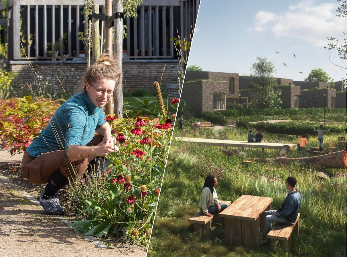 Geen Gamma-schutting, maar een gezamenlijke tuin: is dit het nieuwe ...