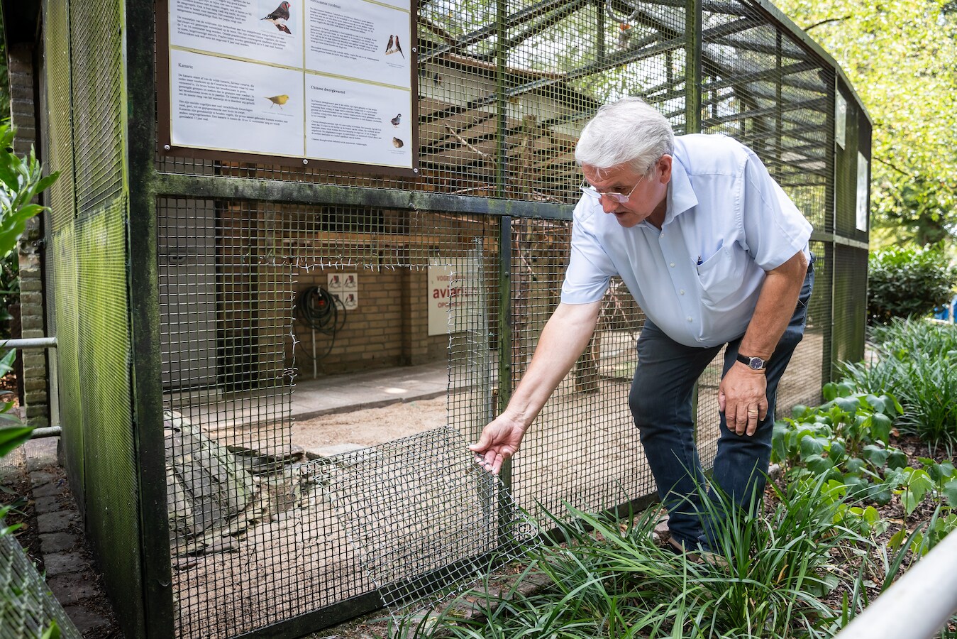 Wéér tientallen vogels gestolen in Eindhovens park, vrijwilliger Henk ...