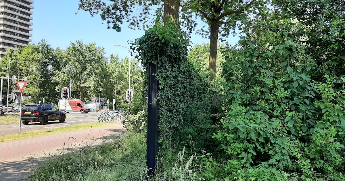 Geluidsoverlast beperken langs Nijenoord Allee kan ook met minder hoog ...