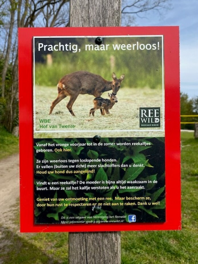 Reetjes redden met de wildbeheerders uit Hof van Twente: ‘Houd je hond ...