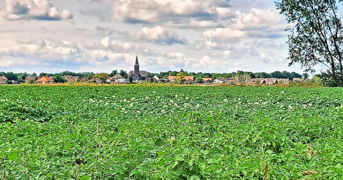 Het dorpje Roosendaal is nu een grote stad | Brabant | gelderlander.nl