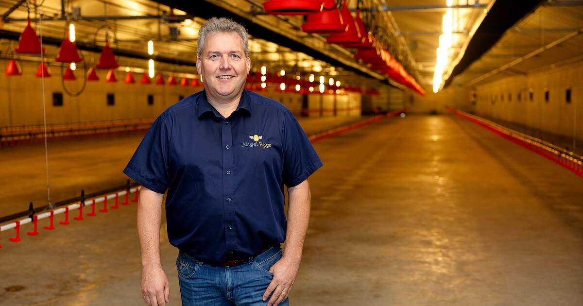 Pluimveehouder Engelen staat weer bij Raad van State: ‘Geen gesprek ...