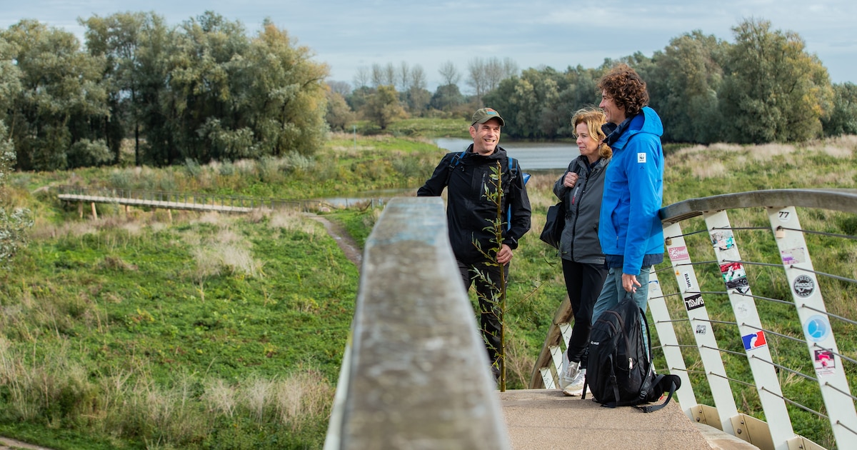 Natuurorganisaties: boeren en bedrijven weg uit uiterwaarden, meer ...