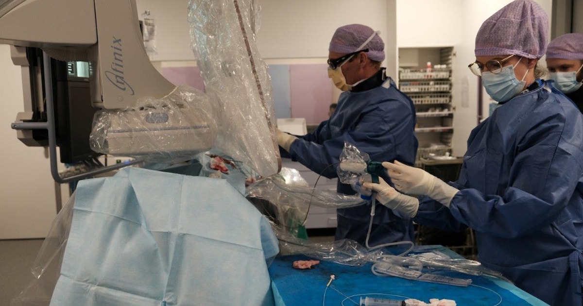Dotteren in het ziekenhuis en snel weer naar huis: zo behandelen ze in ...