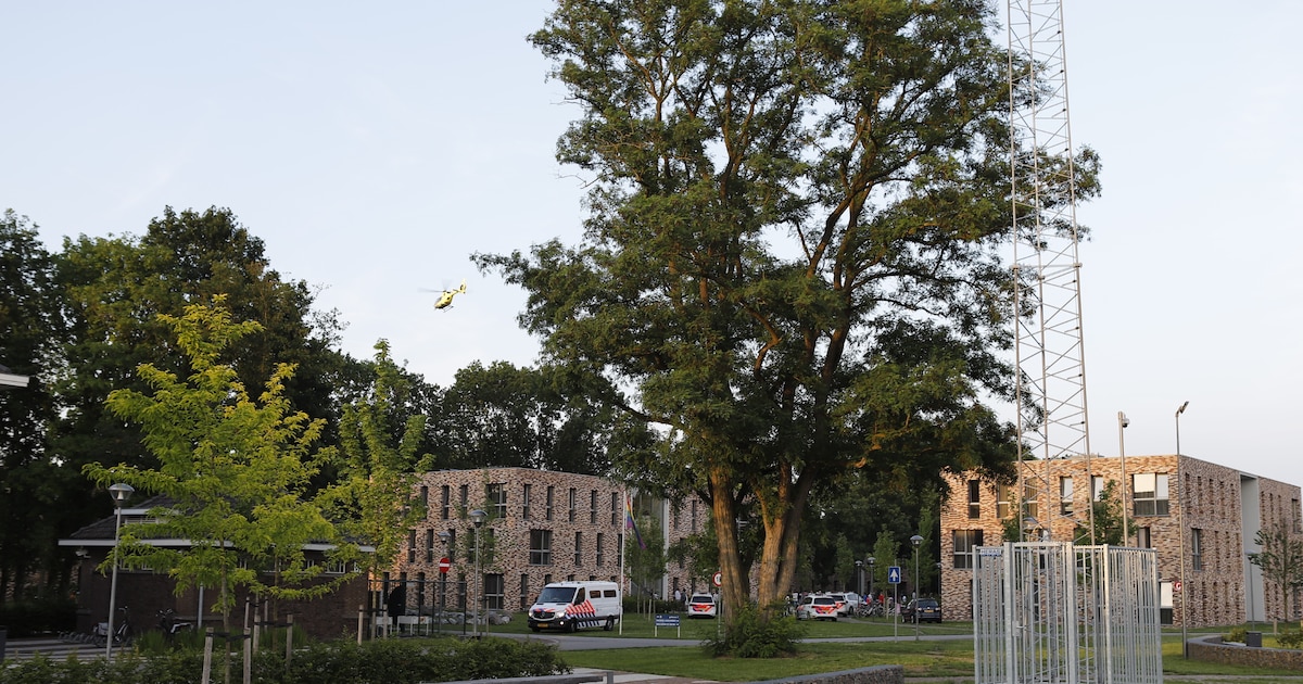 Algerijn moest zich uitkleden en kreeg een mesprik in de bil: justitie ...