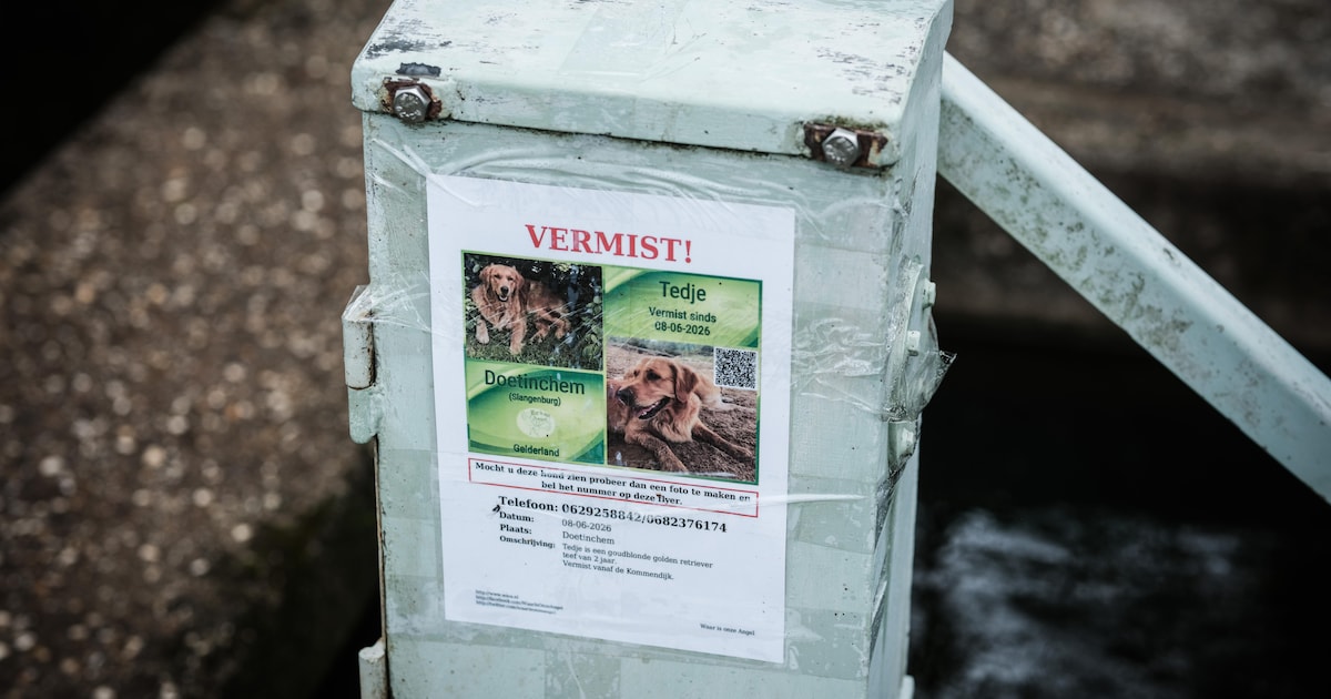 Marion zoekt wanhopig naar Tedje in het bos bij Doetinchem: ‘Niemand ...