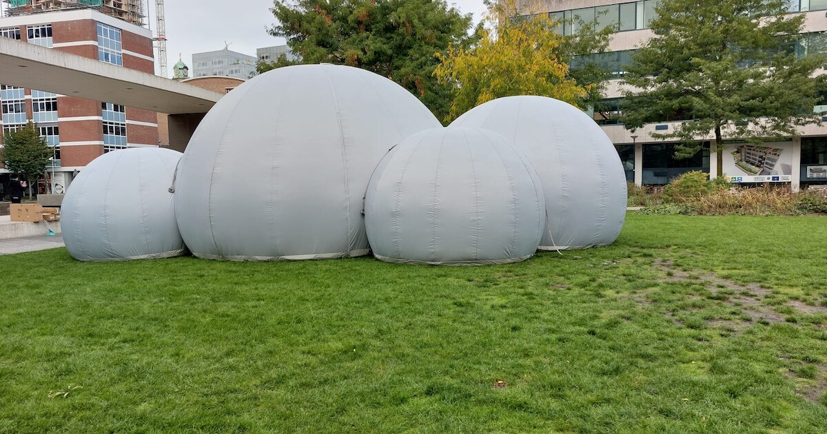 Sensory MoMa laat bezoekers kunstwerken voelen, horen en proeven ...