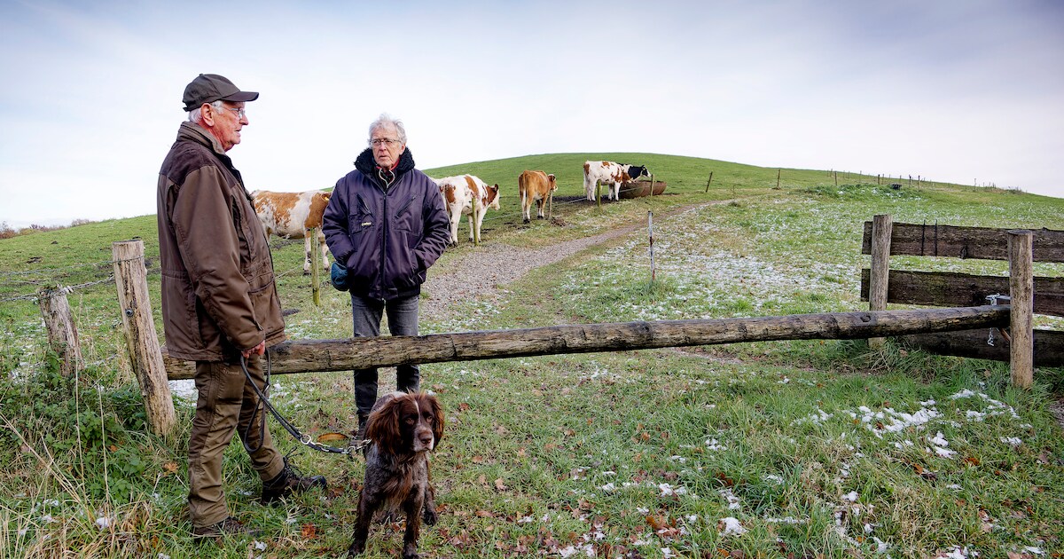 ‘Vlagheideberg wordt zo een attractie, een magneet met negatieve ...