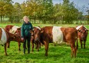 Boerin Sanne uit Haaksbergen zoekt kruidenrijk grasland voor haar ...
