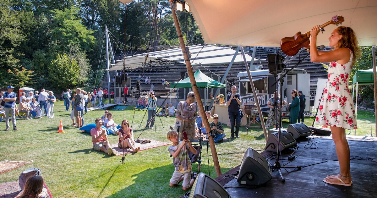 Derde Uitmarkt Ede biedt veel afwisseling, maar belangstelling valt wat ...