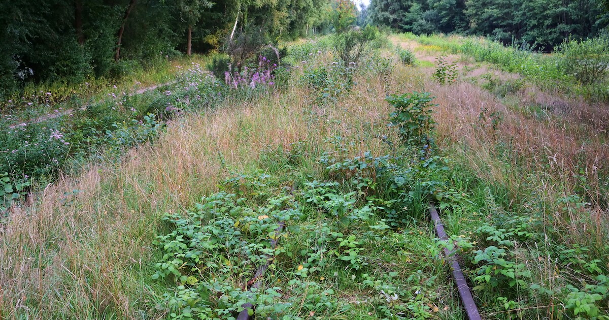 Museum Winterswijk houdt fietstocht door natuurgebieden | Winterswijk ...