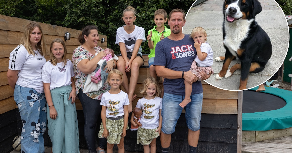 Familie Jelies uit ‘Een huis vol’ is wanhopig: hondje Borre is al een ...