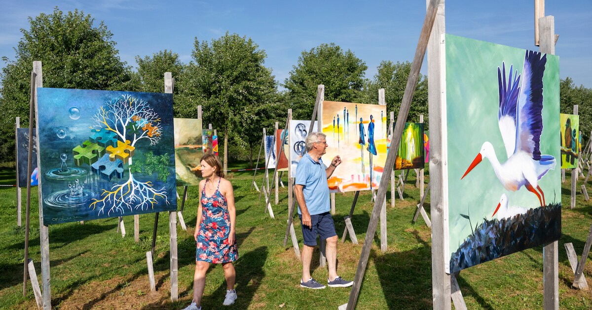 Expositie The Colorfield wil om de vijf jaar terug naar Park Lingezegen ...