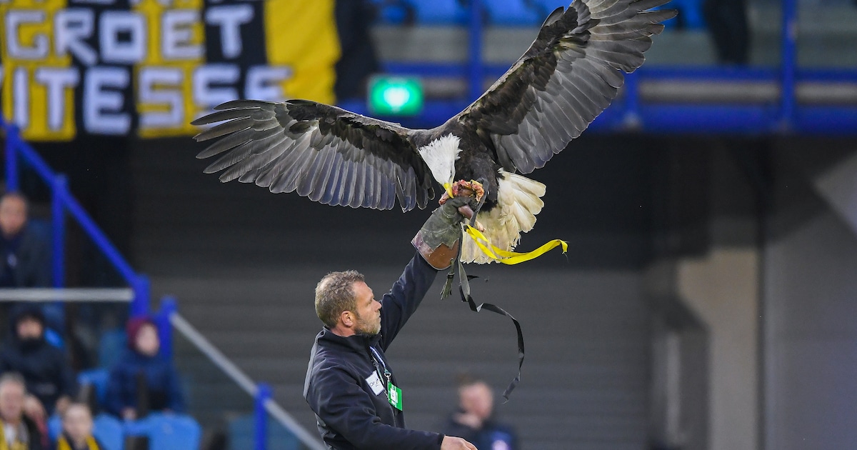 Vliegend cult- én clubicoon Hertog keert terug bij Vitesse: ‘Mist wel ...