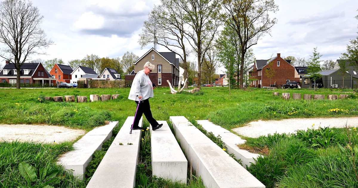Nancy uit Oudenbosch loopt vast op betonblokken en smalle stoepen: ‘Met ...