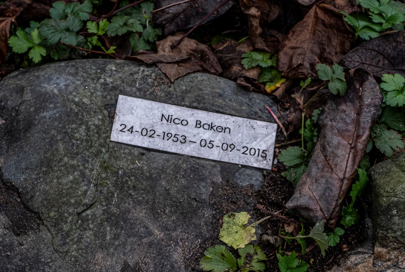 Paul Linssen waakt over speciale boom voor overleden leerlingen en ...