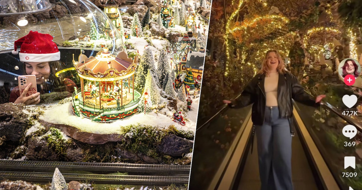 Kerstshow, files en ‘Jurassic Park’: Intratuin Duiven is trending ...