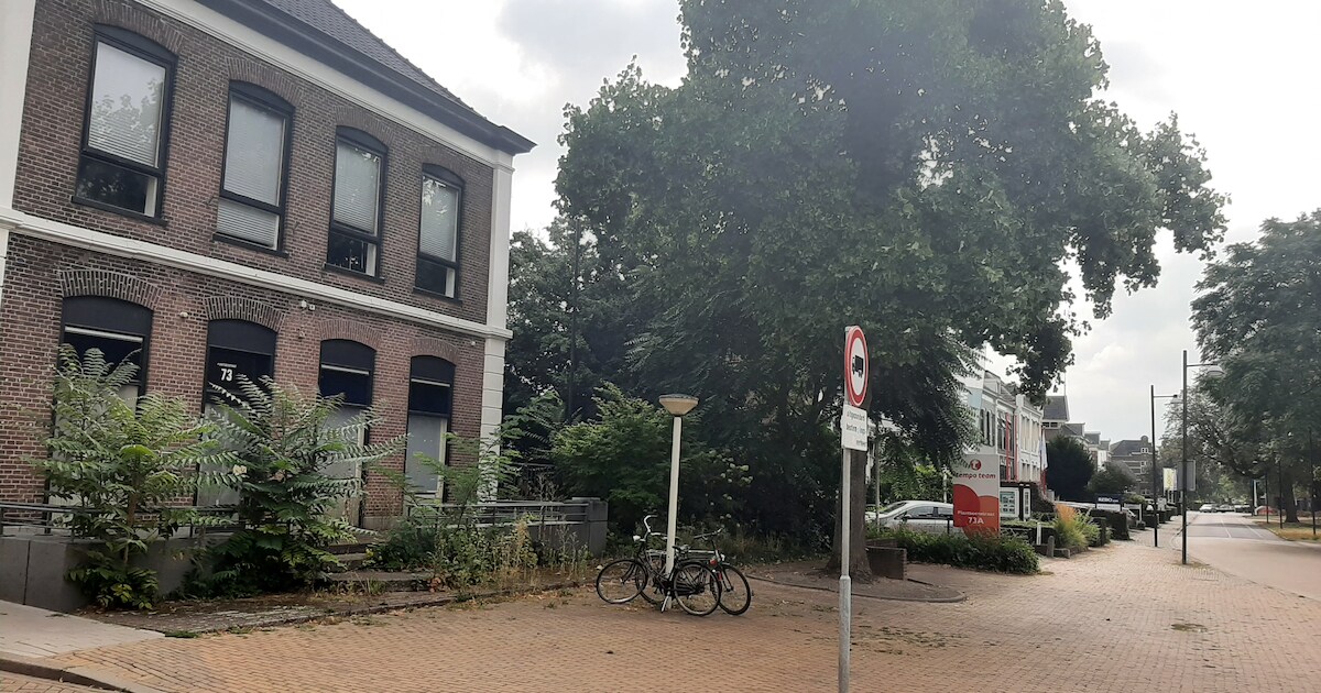 Zorgen over verstening nu nog lommerijke Doetinchemse villastraat ...
