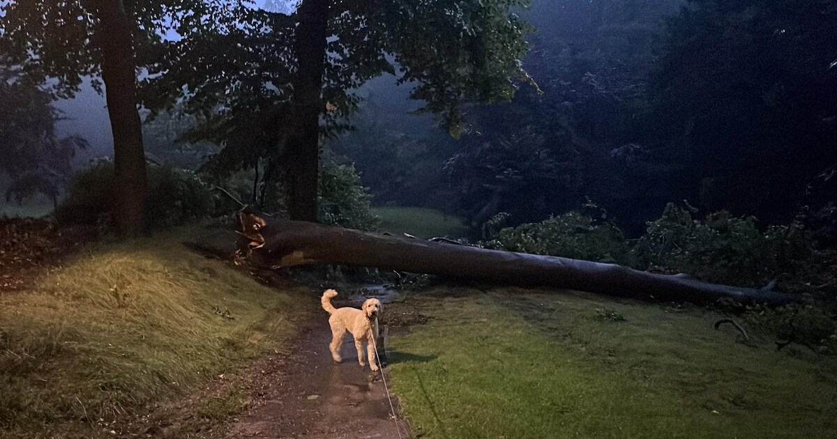 Arnhem werkt schade van ‘soort tornadoslurf’ aan de noordzijde van de ...