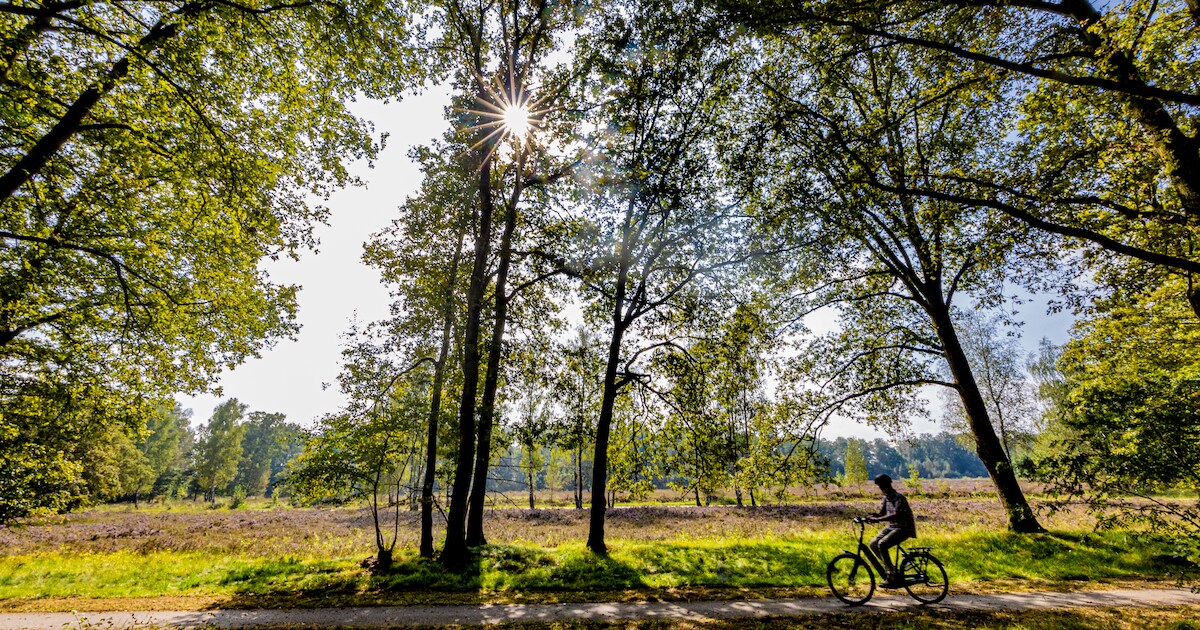 Mijn wandeling werd abrupt verstoord, want daar stond een man. Een enge man | Mijndg | De ...