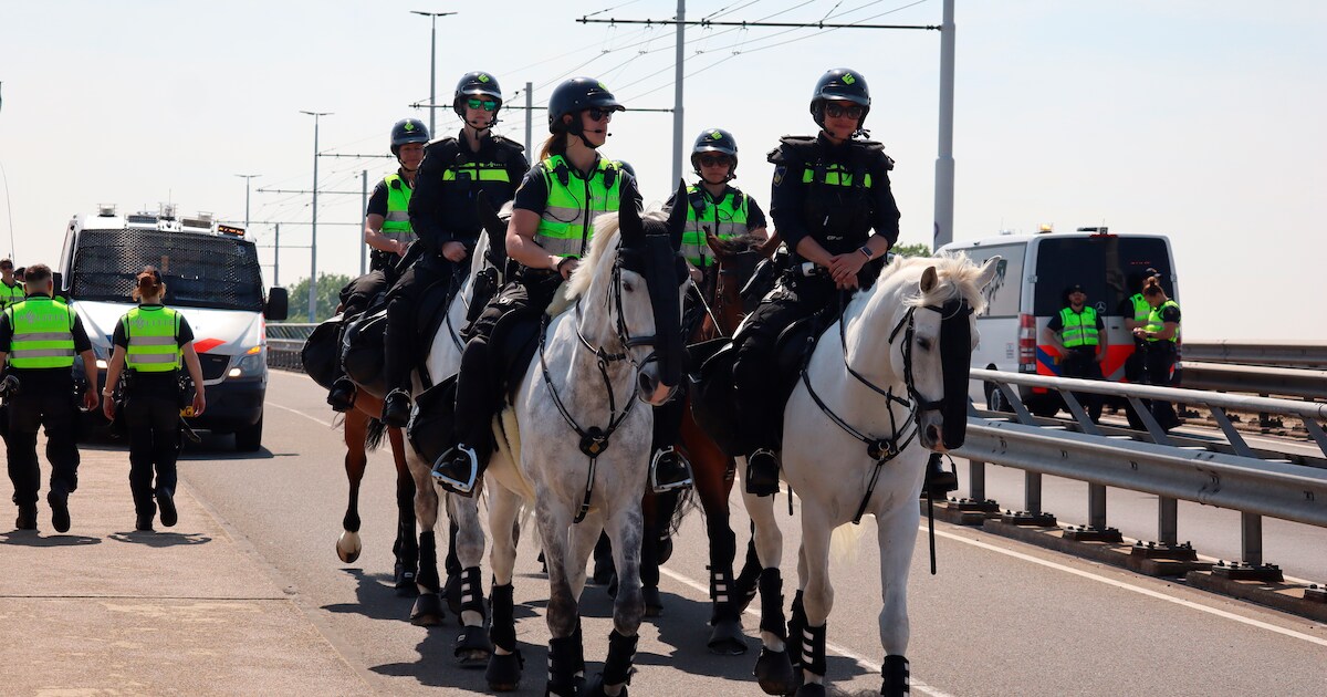 Pogingen tot koranverbranding van Pegida-voorman Wagensveld kostten ...