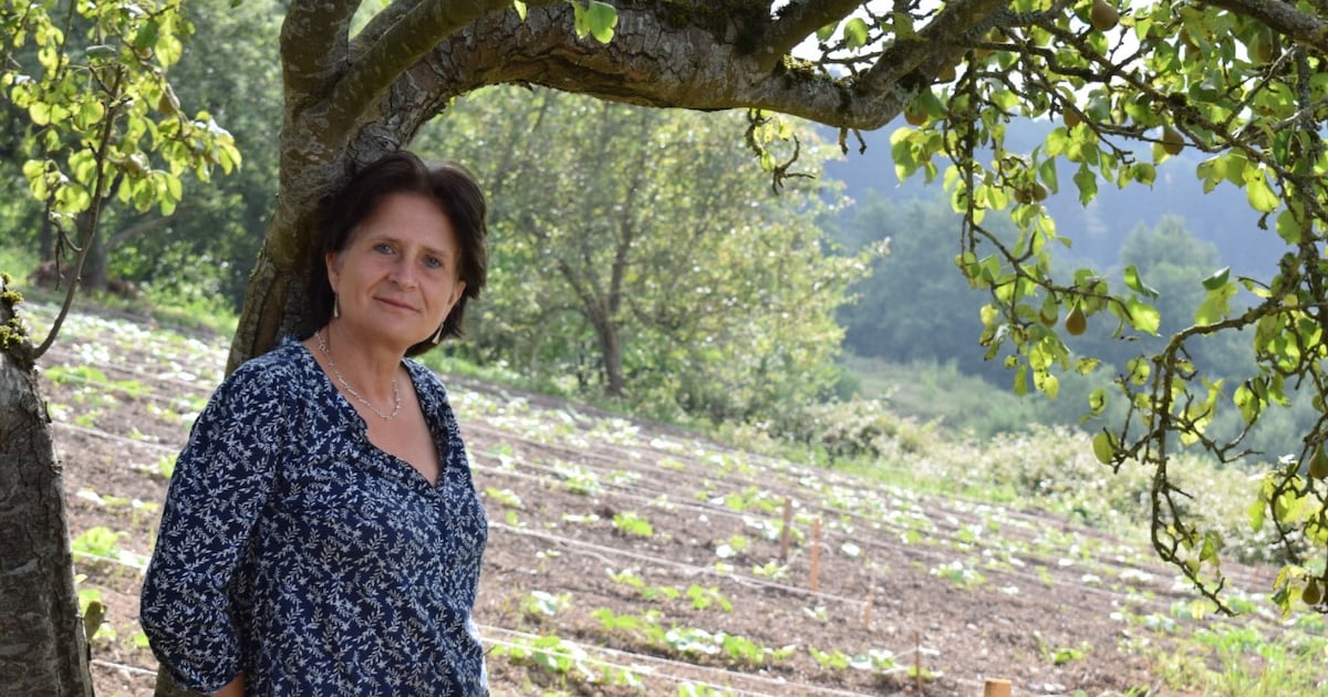 5G is de reden dat Jacqueline Drijber Nederland verliet: ‘Ik ga daar ...