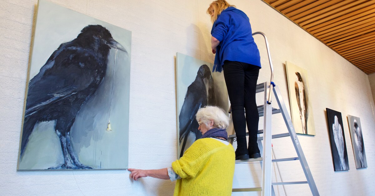 Kunststichting Scarabee is dakloos: ‘Teleurstellend’ | Renkum | De ...