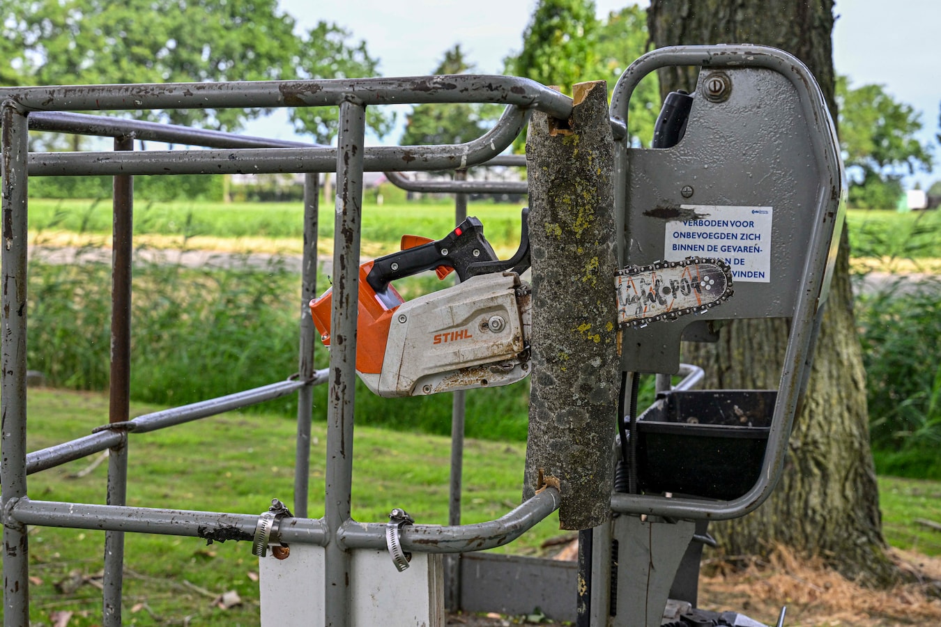 Ewald en Eric houden 17.000 bomen in Halderberge gezond: ‘Wij zien een ...
