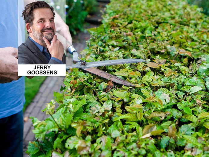 Jerry heeft de handen vol aan het snoeien in zijn ‘riante stadstuin ...