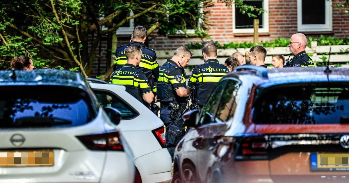 Waarom stak Peter zijn vrouw (82) dood? Psycholoog en psychiater moeten ...