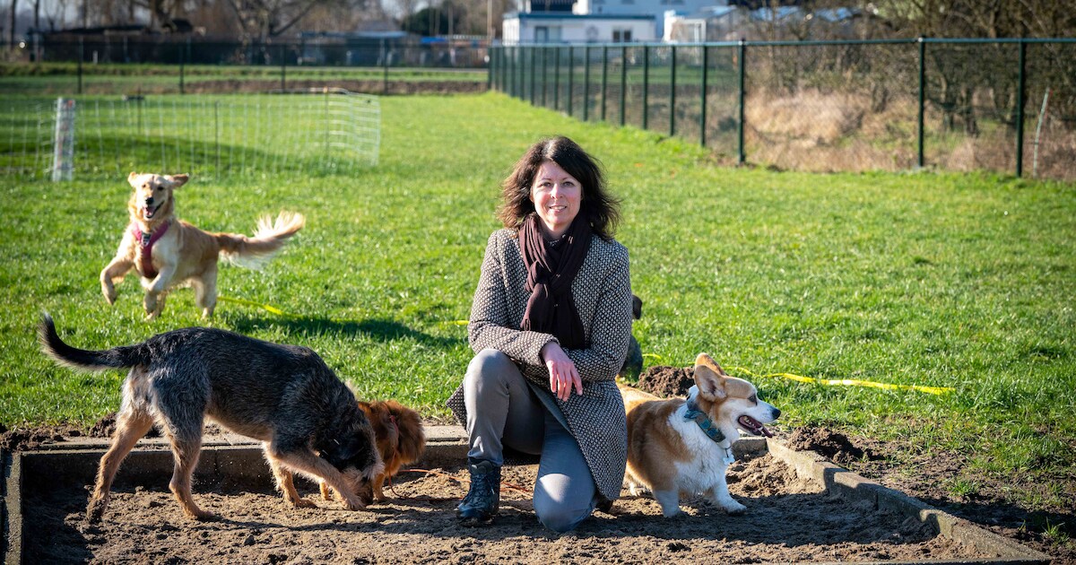 Jolanda is een gelukkig mens tussen de honden: ‘Ik liep mezelf compleet ...