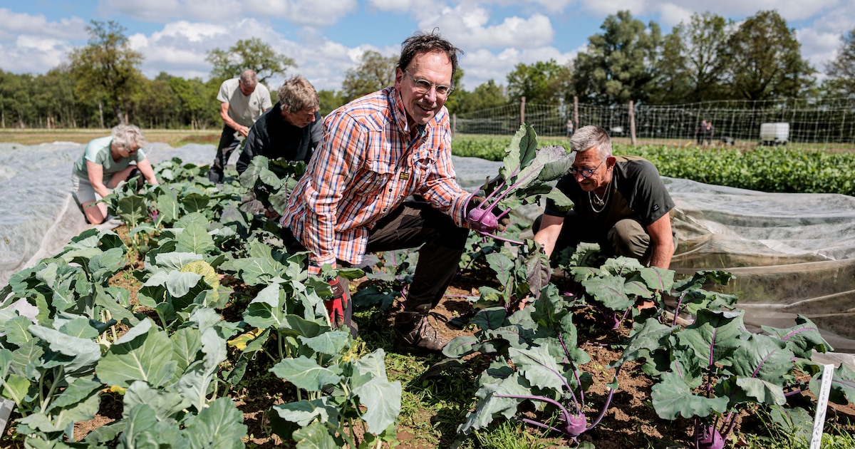 Dit weekend niks te doen? Er is voor ieder wat wils | Regio | De ...